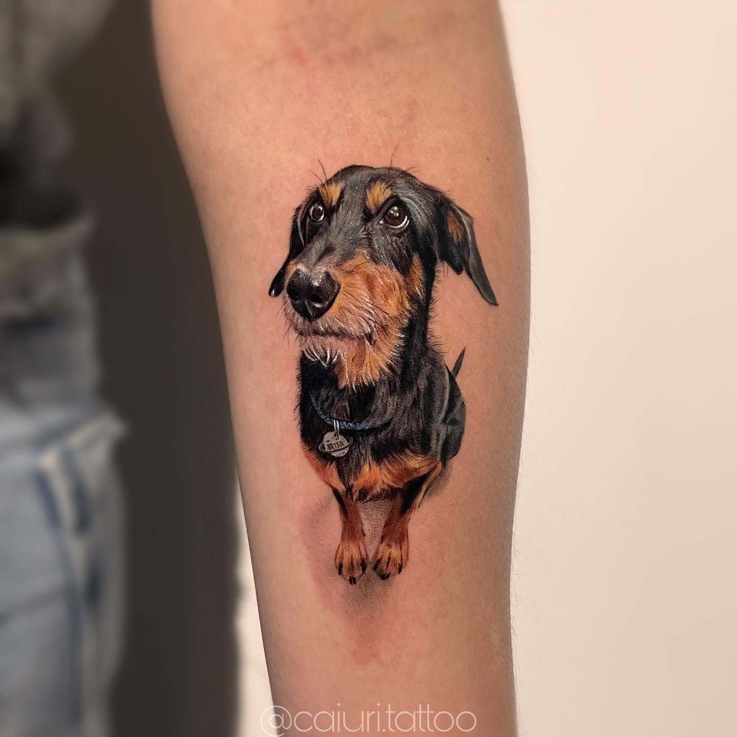 Resumo De Tatuagem De Cachorro Kit Animais Traços Realista 4