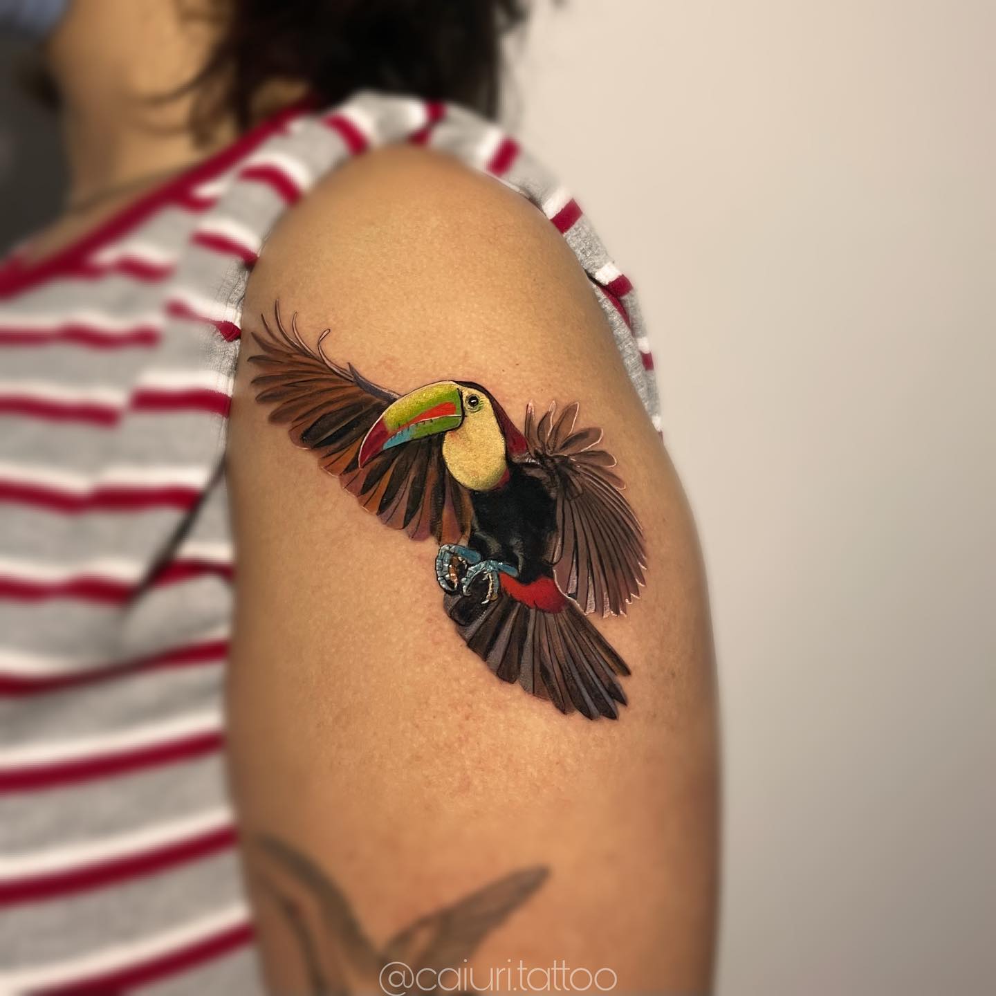 Tucano - Tattoo | Tatuagens
