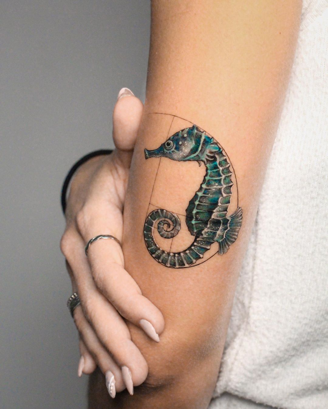 Tatuagem De Cavalo Estilo Tradicional 65 Tatuagens De Cavalo Com Fotos