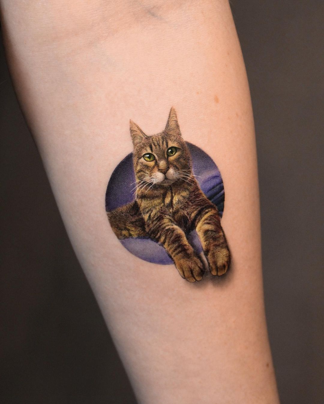 Gato Real - Tattoo | Tatuagens